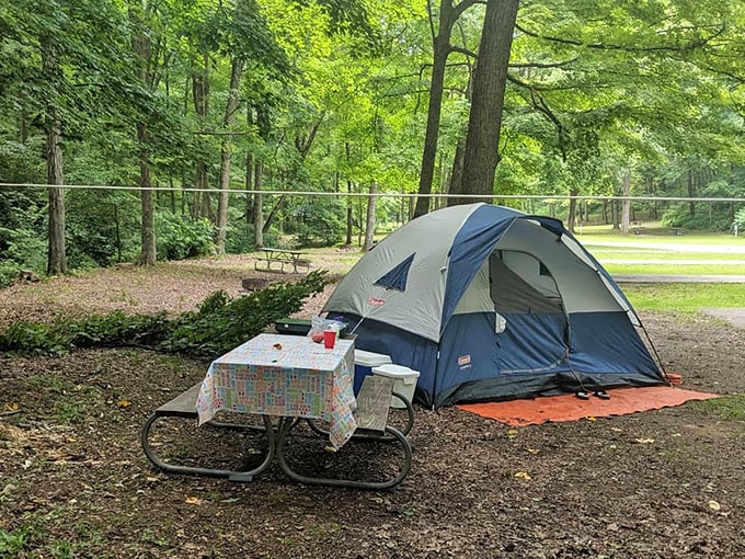 Home sweet temporary home! This campsite proves you don't need 500 thread-count sheets when you've got million-star accommodations overhead.