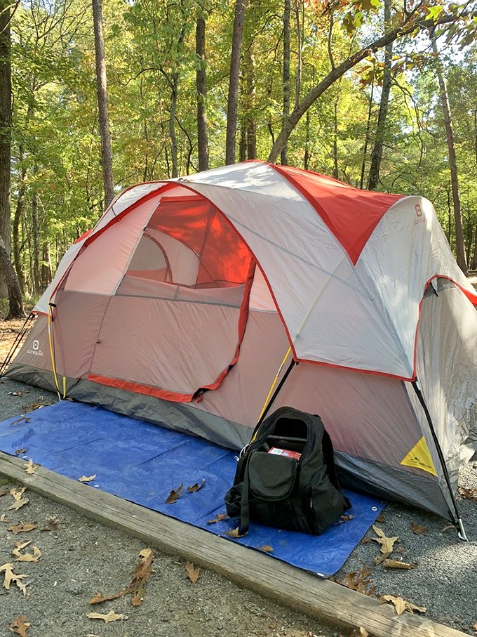 Home sweet temporary home. A well-set campsite among the trees offers that perfect balance of wilderness immersion with just enough creature comforts.