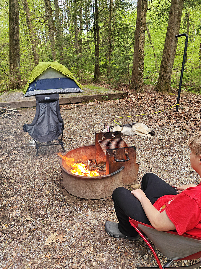 Camping nirvana with all the essentials: tent, fire, chair, and loyal dog. Even Thoreau would approve of this simple perfection in the woods.