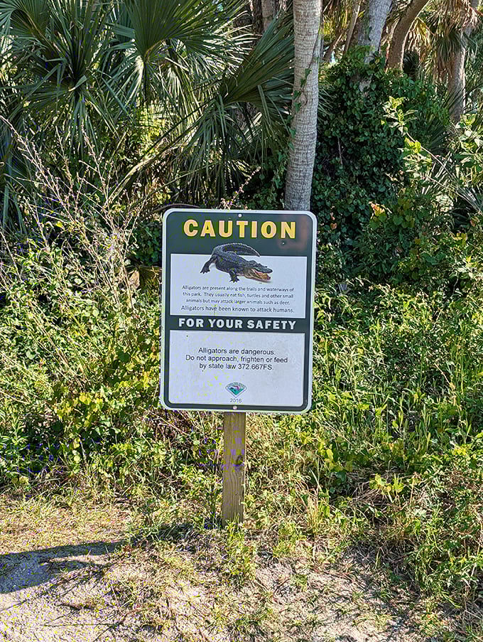 The Sunshine State's version of a "Beware of Dog" sign. In Florida, the guard dogs just happen to have more teeth and fewer legs.
