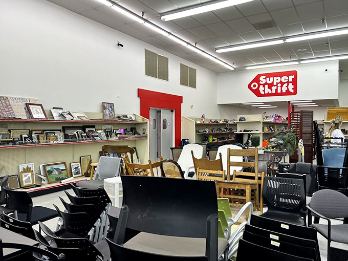 A sea of seating possibilities where no two chairs match, yet somehow they all belong together in this fabric-covered family reunion.