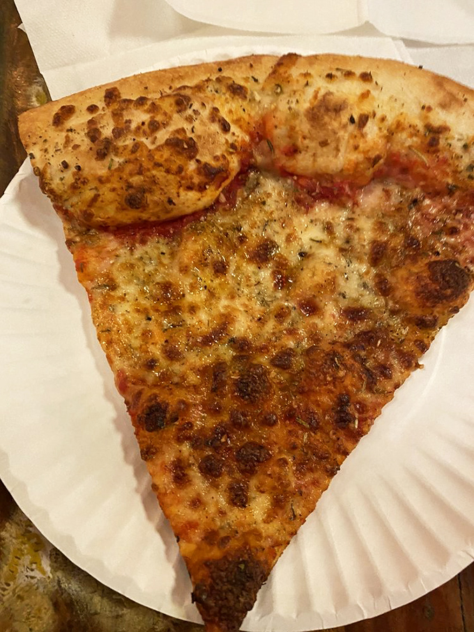 Sometimes the simplest things are the most perfect - cheese pizza that reminds you why classics become timeless.