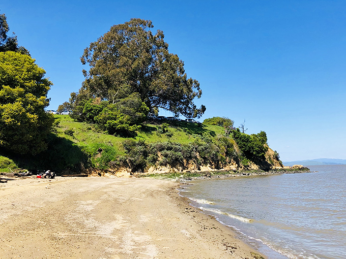 Beach day, California-style! Where else can you find pristine shoreline with oak-studded hills as your backdrop?