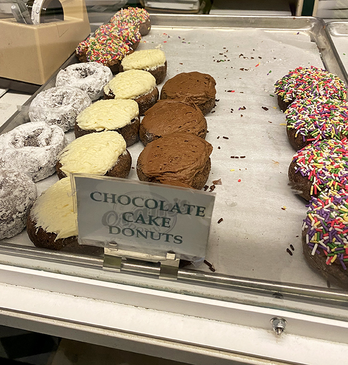 Chocolate cake donuts dressed in three outfits: powdered, frosted, and sprinkled. Like the dessert equivalent of a well-coordinated wardrobe collection.