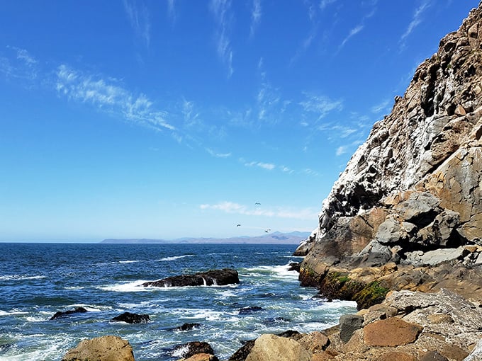The rugged coastline tells California's geological story in dramatic fashion, with waves providing the perfect soundtrack to this natural theater.