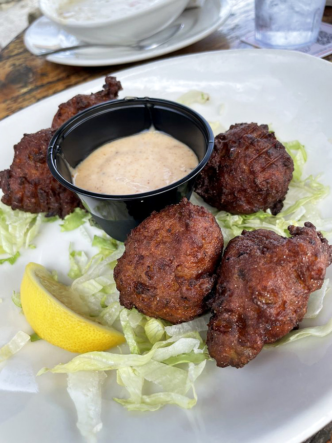 Conch fritters arriving hot and crispy, like little golden nuggets of ocean treasure.