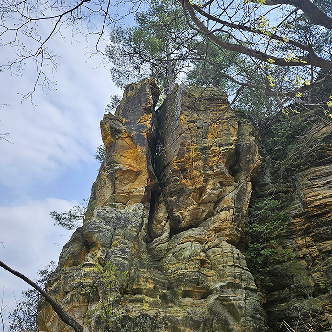 These towering canyon walls have been social distancing for millions of years. Talk about standing your ground!
