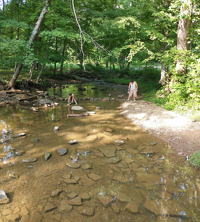 A creek shallow enough for wading but deep enough for childhood wonder. Nature's original water park, no admission required.