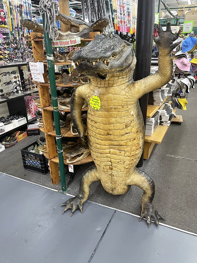 Florida's unofficial greeter stands tall! This life-sized alligator statue offers the perfect Florida photo op without the danger of becoming lunch.