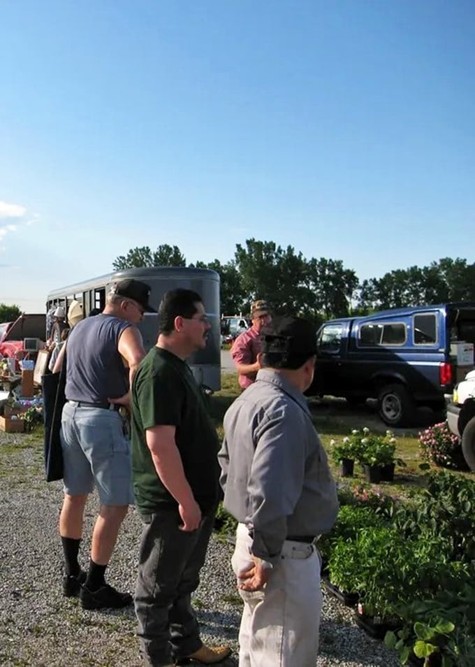 The plant section brings a touch of green to the proceedings, where shoppers debate between practical garden additions and impulse buys.