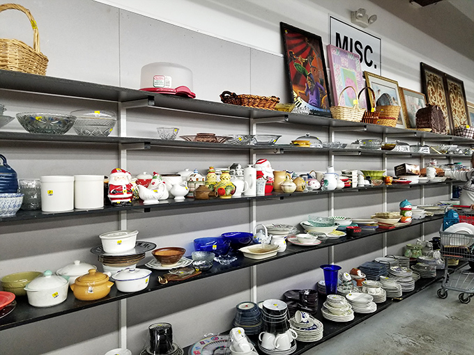 Dish paradise! From vintage Pyrex to everyday plates, this wall of kitchenware could furnish a dozen dinner parties without duplicating a single piece.