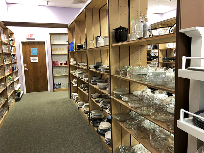 Plates and bowls line up like contestants in a beauty pageant where the judges are practical shoppers with a weakness for vintage china.