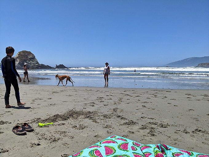 Four-legged friends and beach blankets&mdash;the timeless ingredients for a perfect California day where memories outshine any souvenir.