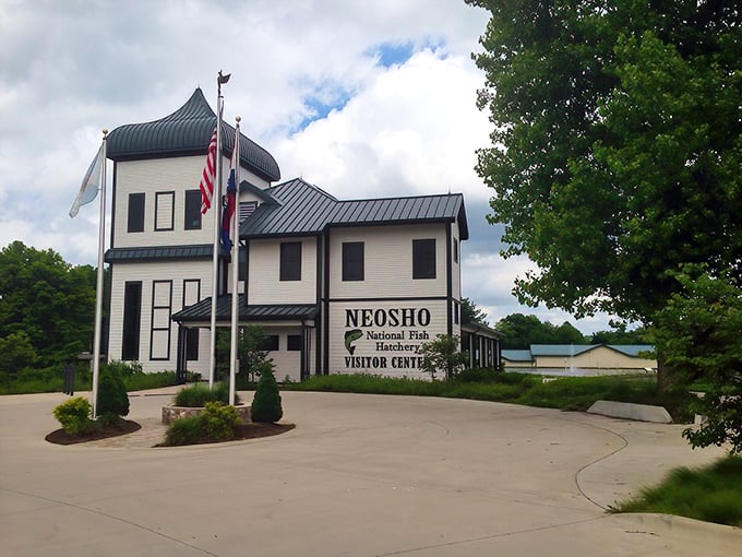 The Neosho National Fish Hatchery, established in 1888, offers free tours where you can learn about conservation efforts without spending a single retirement dollar.