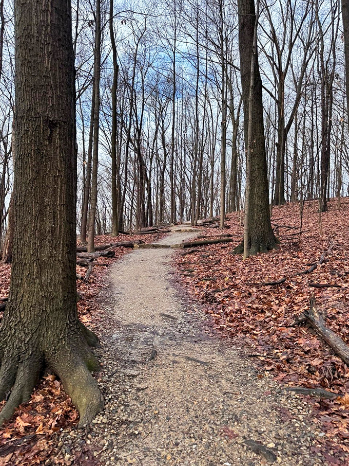 The path less traveled sometimes has the best signage. This winding trail through leafy splendor promises discoveries with every turn.
