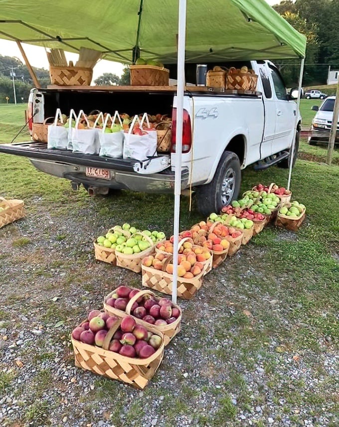 Nature's candy, arranged with pride. These woven baskets of fresh-picked apples and peaches are the farmer's version of a jewelry display case.
