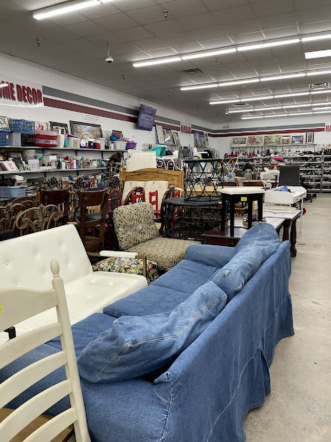 A living room showroom that spans decades of design trends. That blue sofa has stories to tell.