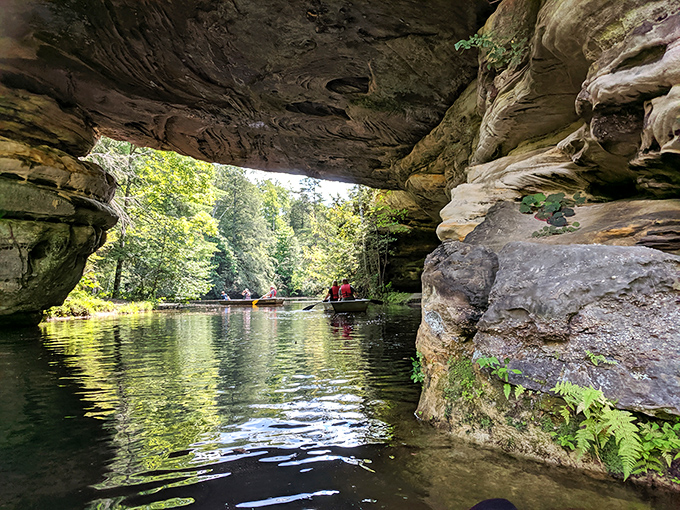 Paddle your way to serenity on waters so calm they double as nature's mirror.
