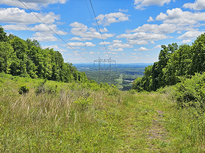 The power line clearing offers an unexpected gift &ndash; panoramic valley views that remind you Pennsylvania isn't called "Penn's Woods" for nothing.