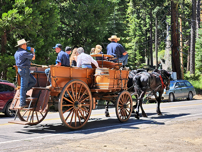 This vintage wagon hauled dreams and disappointment in equal measure during the Gold Rush days.