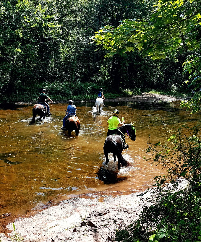 Trail riding here feels like stepping into a Western movie, minus the tumbleweeds.