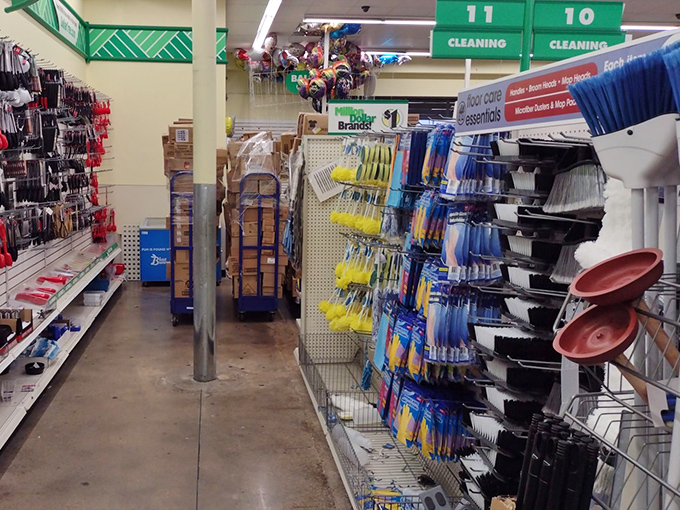 Cleaning supply heaven! Like a well-organized arsenal for the eternal war against household grime, all at prices that won't soil your budget.