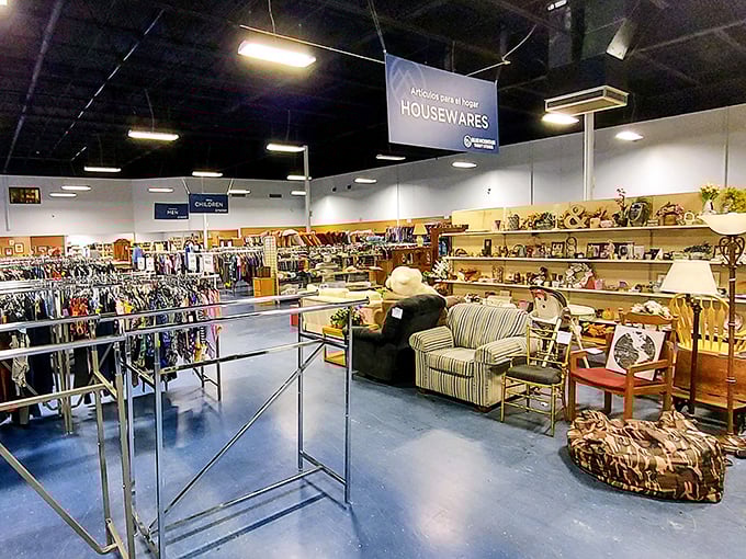 The housewares section beckons with promises of kitchen upgrades and living room transformations. One person's decluttering is another's decorating spree.