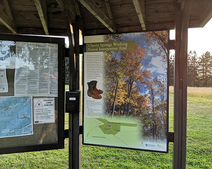 The park's information board &ndash; your celestial tour guide before the real show begins. Knowledge makes the stars shine brighter.