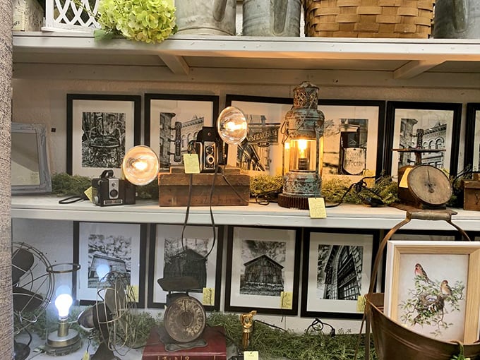 Vintage cameras and Edison bulbs create a photographer's dream display of yesteryear's technology and charm.