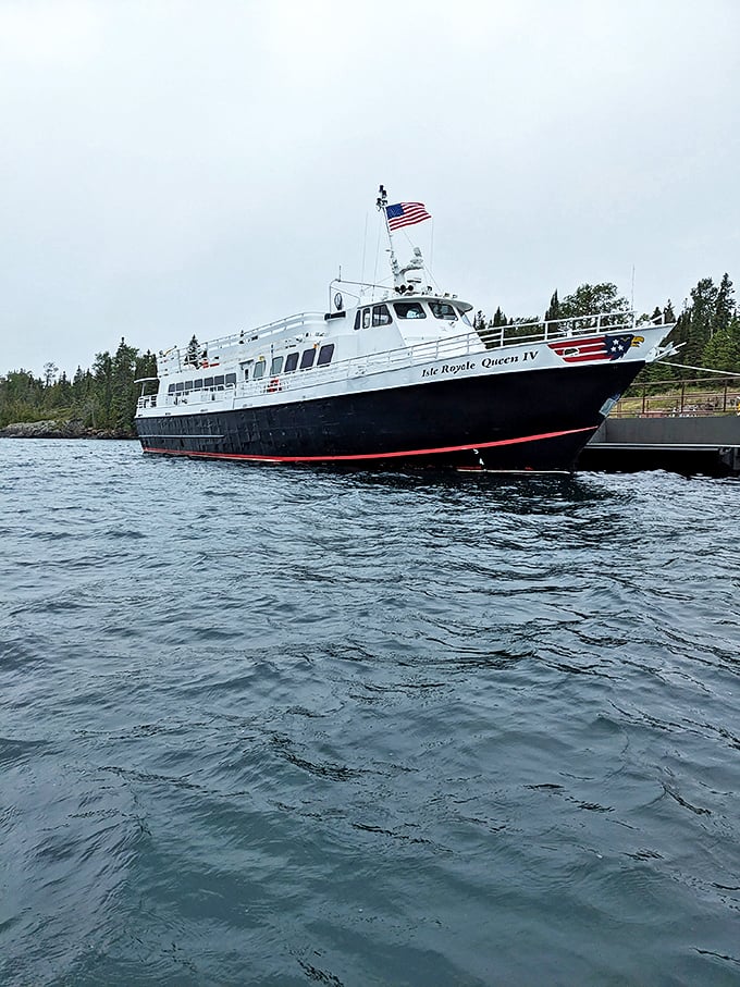 The Isle Royale Queen IV isn't just transportation&mdash;it's your time machine to wilderness. Pack Dramamine; Lake Superior doesn't care about your lunch plans.