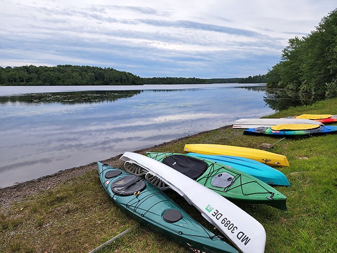 A rainbow of kayaks waiting for their moment to shine. Like choosing candy from a jar, picking your vessel is half the fun.