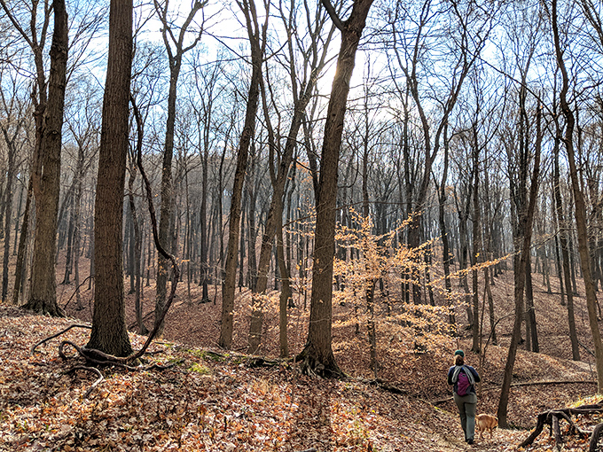 A solitary hiker discovers the quiet magic of late fall trails. At Great Seal, you're more likely to hear leaves crunching underfoot than other visitors.