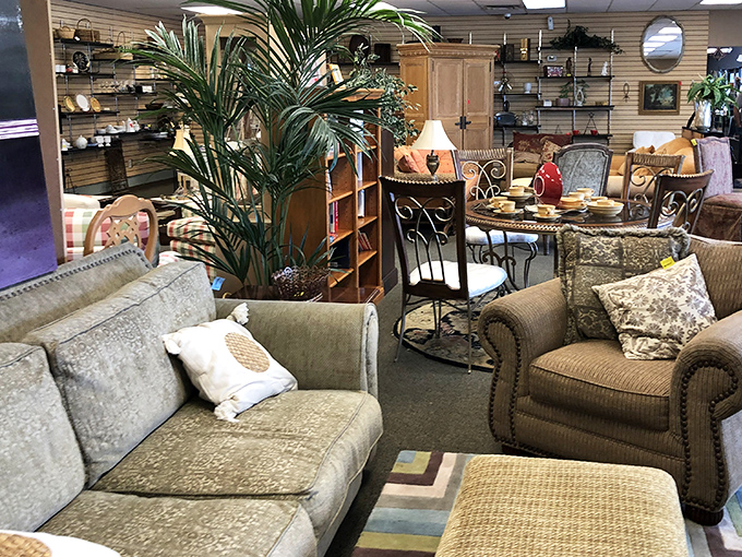 Living room vignettes that could be straight from a decorator's portfolio. That palm adds just the right touch of Florida to these neutral-toned treasures.