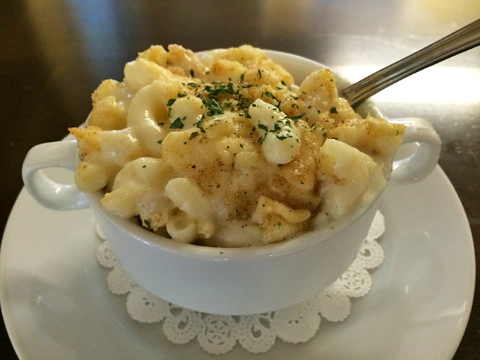 Mac and cheese that would make your grandmother simultaneously proud and jealous. The sprinkle of herbs says "fancy," but the gooey goodness screams "home."
