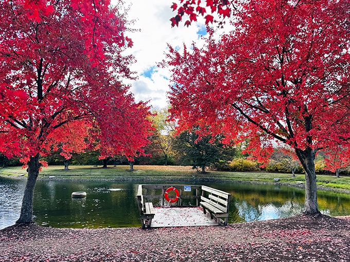 Just a short drive from the Field of Corn, Dublin offers peaceful spots like this autumn-kissed pond&mdash;the perfect complement to quirky art exploration. 