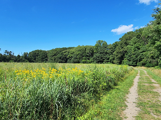 Wildflowers throw their own summer block party along this trail. No RSVP needed&mdash;just comfortable shoes and an appreciation for nature's color palette.