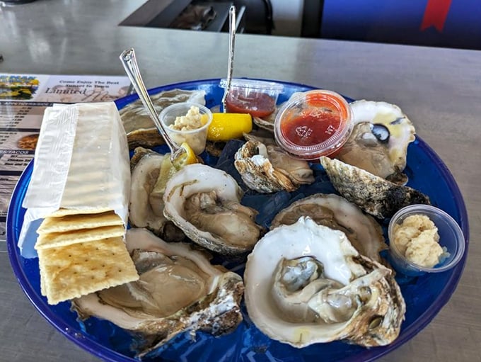 Oysters so fresh they practically wink at you from their shells, served with all the classic accompaniments a bivalve enthusiast could desire.