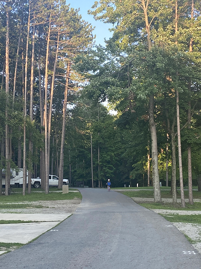 The campground road winds through towering pines like a scene from a nostalgic summer camp movie&mdash;minus the teenage drama.