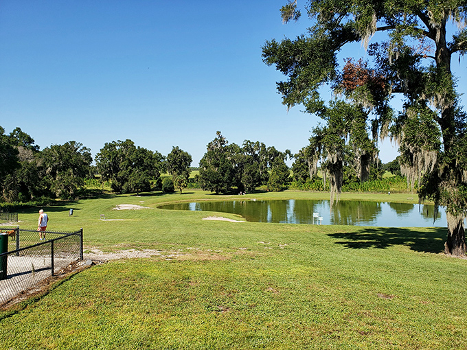 Golf courses in DeLand offer that perfect blend of challenge and scenery. Where "water hazard" takes on a whole new meaning.