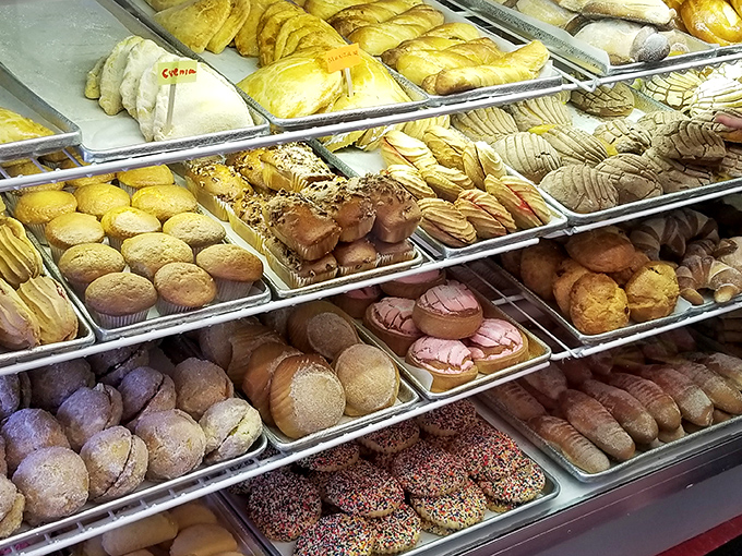 The pastry case at La Mejor resembles an artist's palette &ndash; each section offering a different color, texture, and flavor experience. Decision paralysis has never been sweeter.