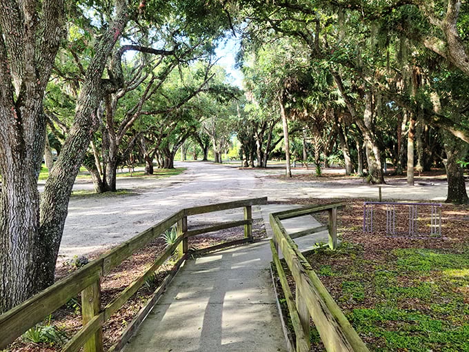 Oak-canopied pathways that feel like nature's cathedral&mdash;complete with Spanish moss as the most elegant decoration.