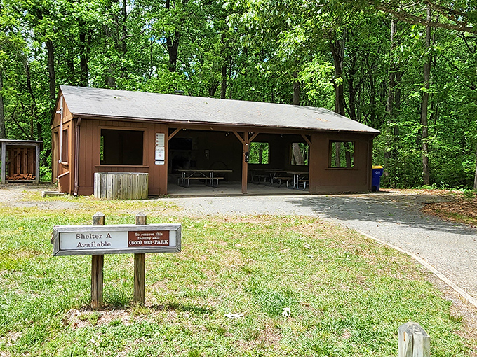 Shelter A stands ready for your family reunion or impromptu picnic escape. The forest's version of a five-star dining room.