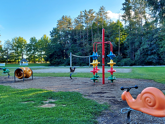 A playground where the WiFi is weak but the childhood memories being made are stronger than your morning coffee.