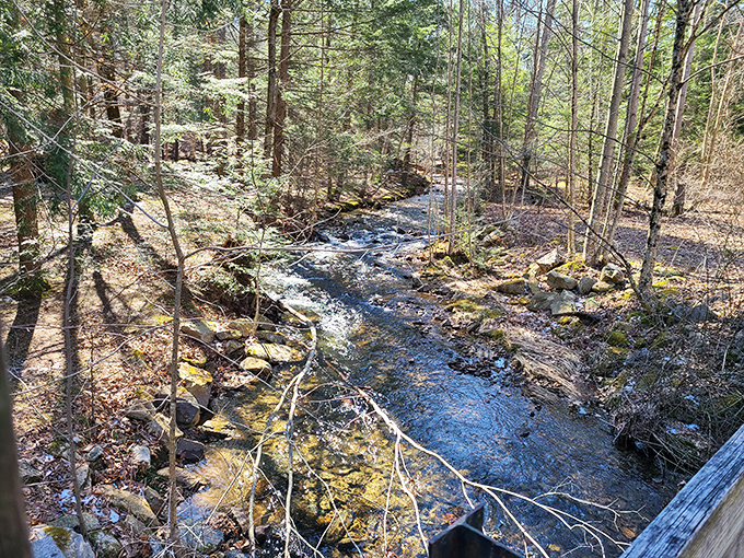 Crystal clear waters of Fowler Hollow Run carve their patient path through the forest. A babbling soundtrack that no meditation app could ever replicate.