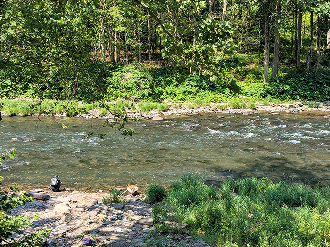 Pine Creek winds through the valley below, proof that nature's an artist who never went to art school.