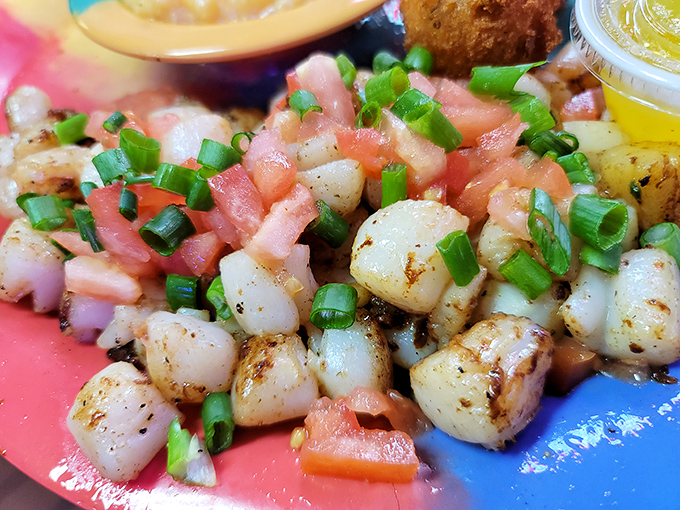 Perfectly seared scallops that prove sometimes the simplest preparations create the most spectacular results.