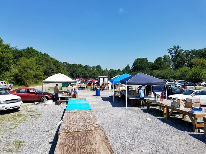 The early bird gets the deal! Vendors setting up under blue Georgia skies create the perfect backdrop for a day of discovery and unexpected finds.