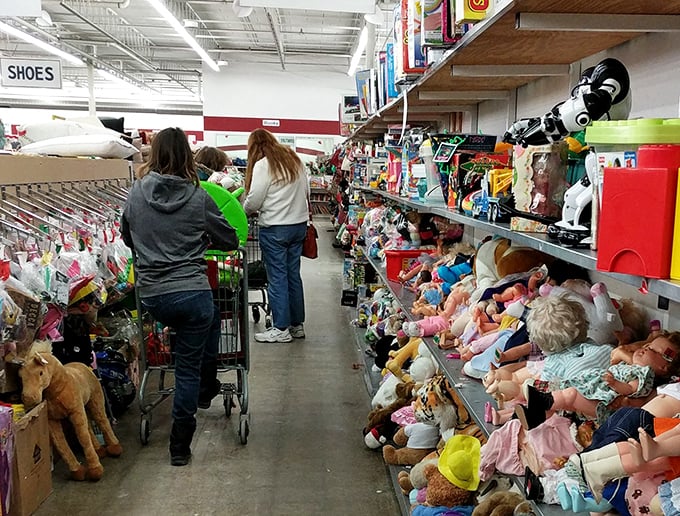 The toy aisle: where childhood memories are recycled and reborn. That stuffed lion might have been someone's best friend before becoming yours.