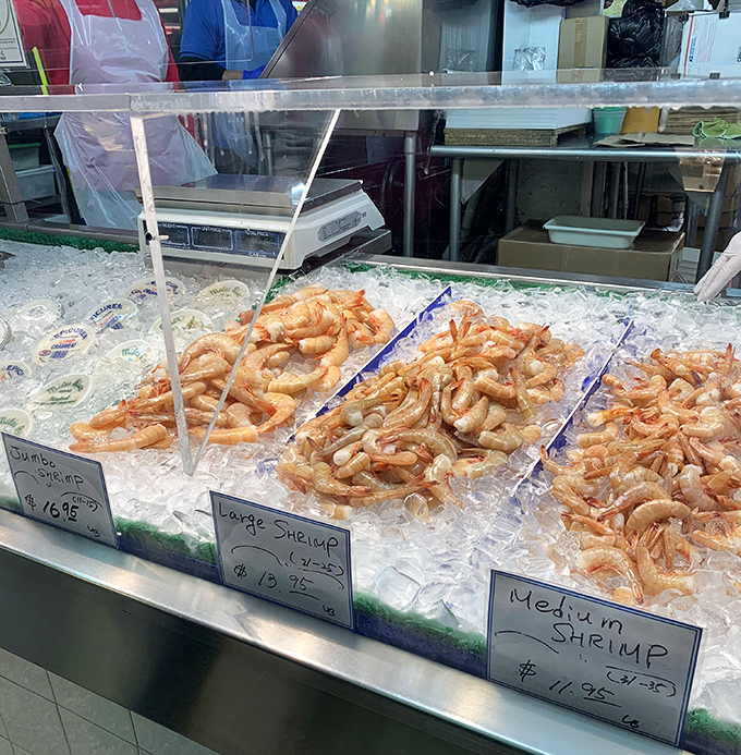 Shrimp sorted by size like a marine graduation ceremony. Jumbo, large, or medium&mdash;all destined for the same delicious fate in this seafood lover's paradise.