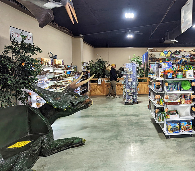 The gift shop: where wallets go extinct but dinosaur-themed treasures find new homes. Resistance is futile.